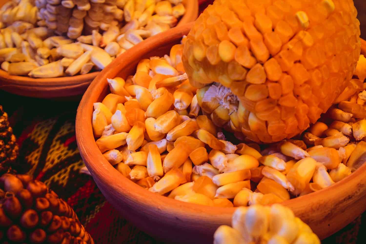 Peruvian Corn - We Dish on one of Peru's Most Important Staples