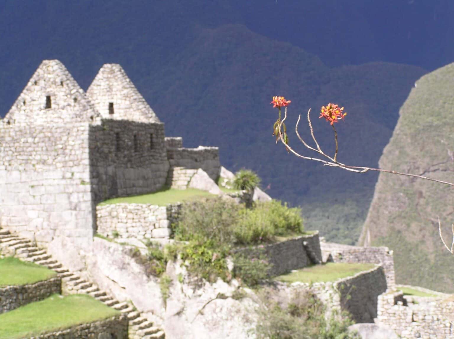 Why is Machu Picchu Important? 7 Reasons to Visit Machu Picchu