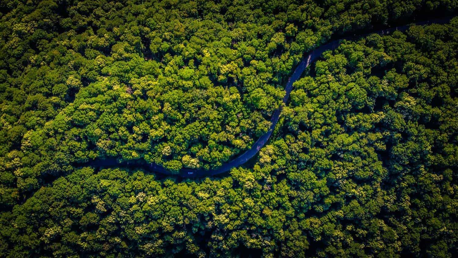 Peru Amazon Rainforest Tours: Everything You Need to Know